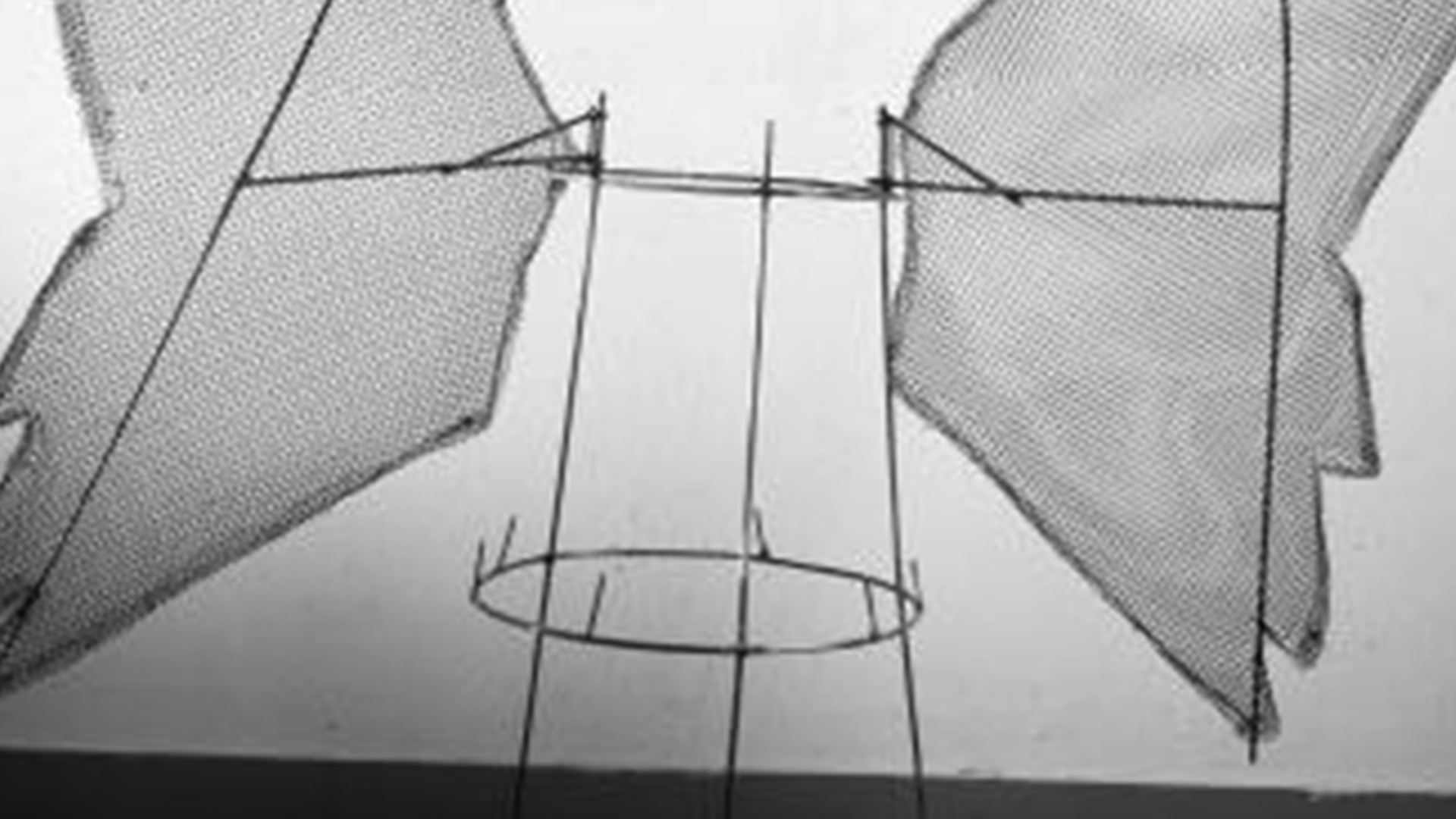 Giosetta Fioroni: Italian Pop art’s silver surfer | Intesa Sanpaolo