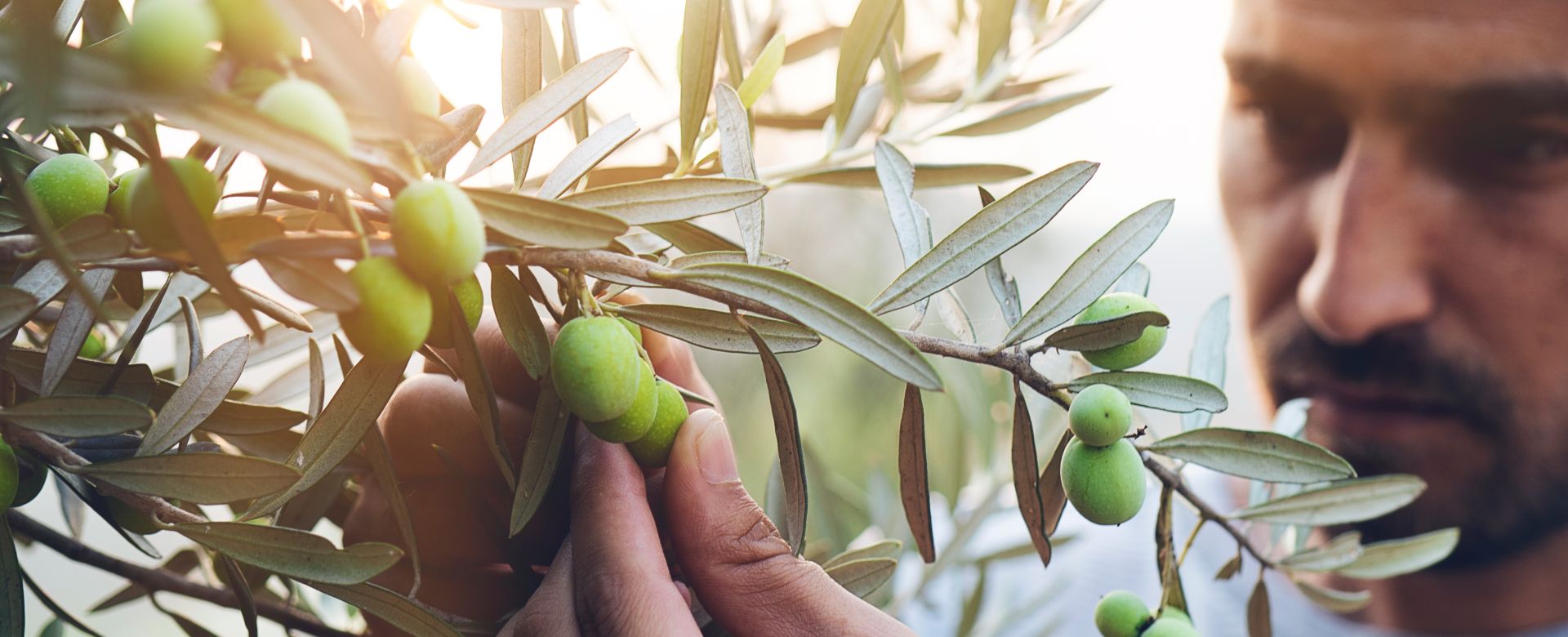 Supporting Salov’s sustainability investments with a €5-mln S-Loan ...