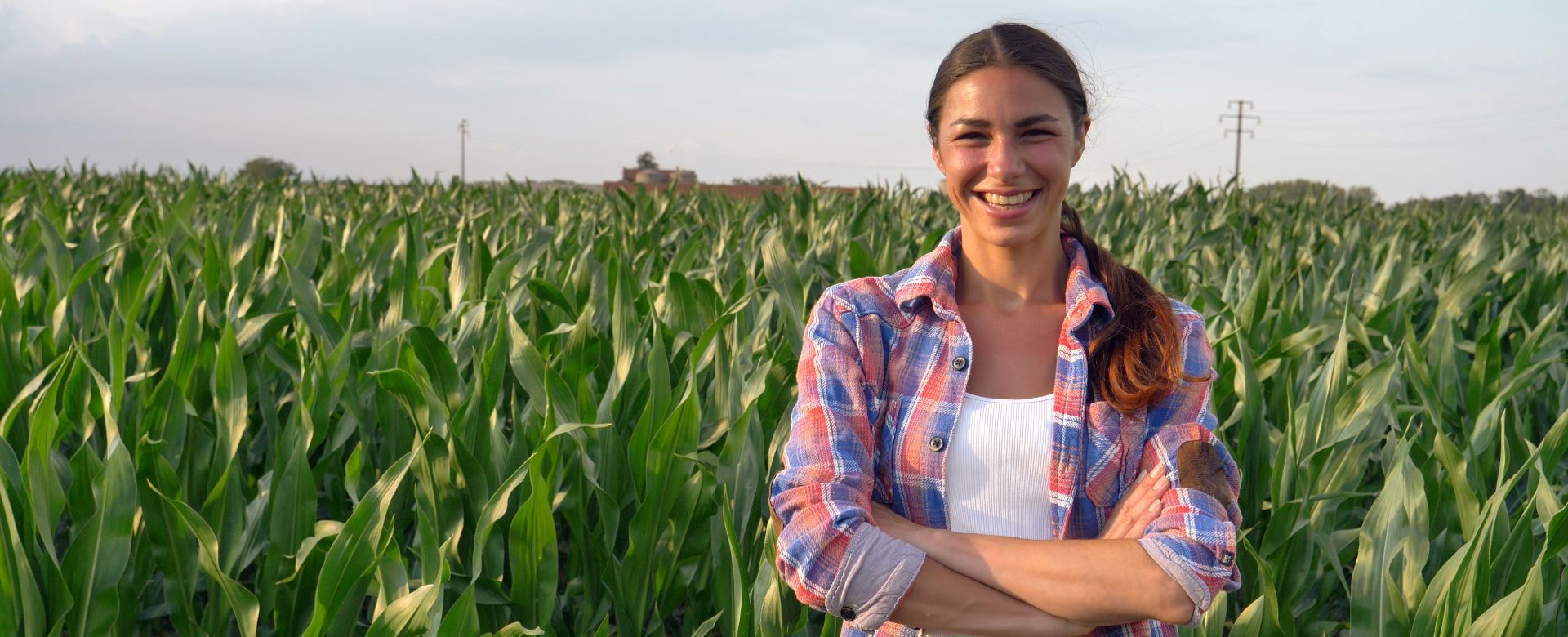 With CONAF to support the agriculture and forestry sector | Intesa Sanpaolo