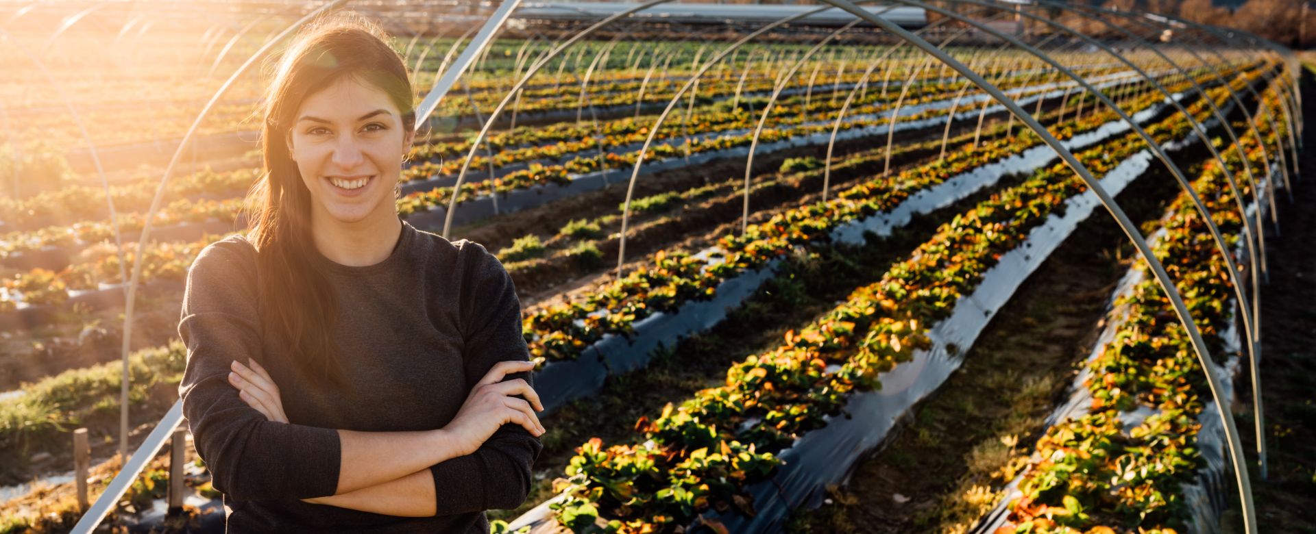 Agreement with MASAF and CDP to support Italian agriculture | Intesa ...