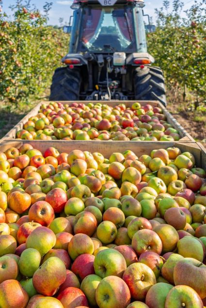 Nuovo sostegno alla filiera dell’agroalimentare con €1 miliardo ...