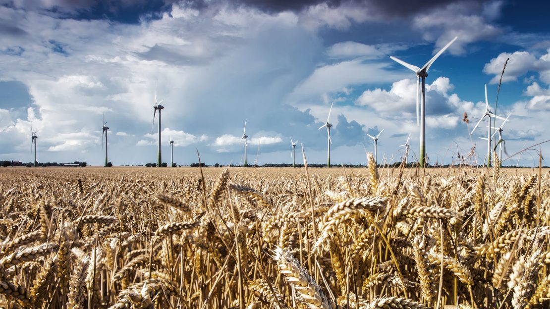 Master in Climate change con PoliTo e Intesa Sanpaolo | Intesa Sanpaolo